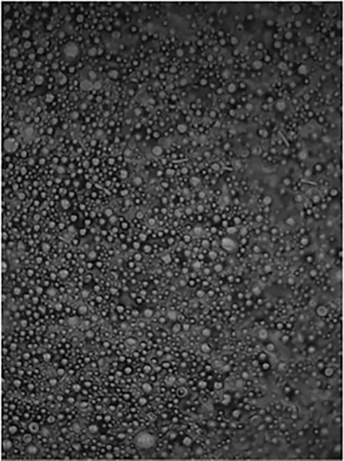 Inherent Matte Polyurethane Dispersions as Matting Agents — American ...