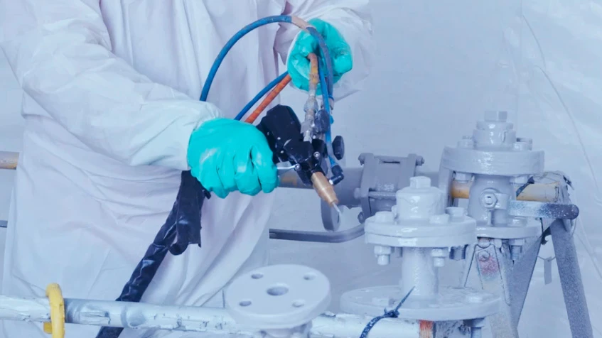 WEG — American Coatings Association