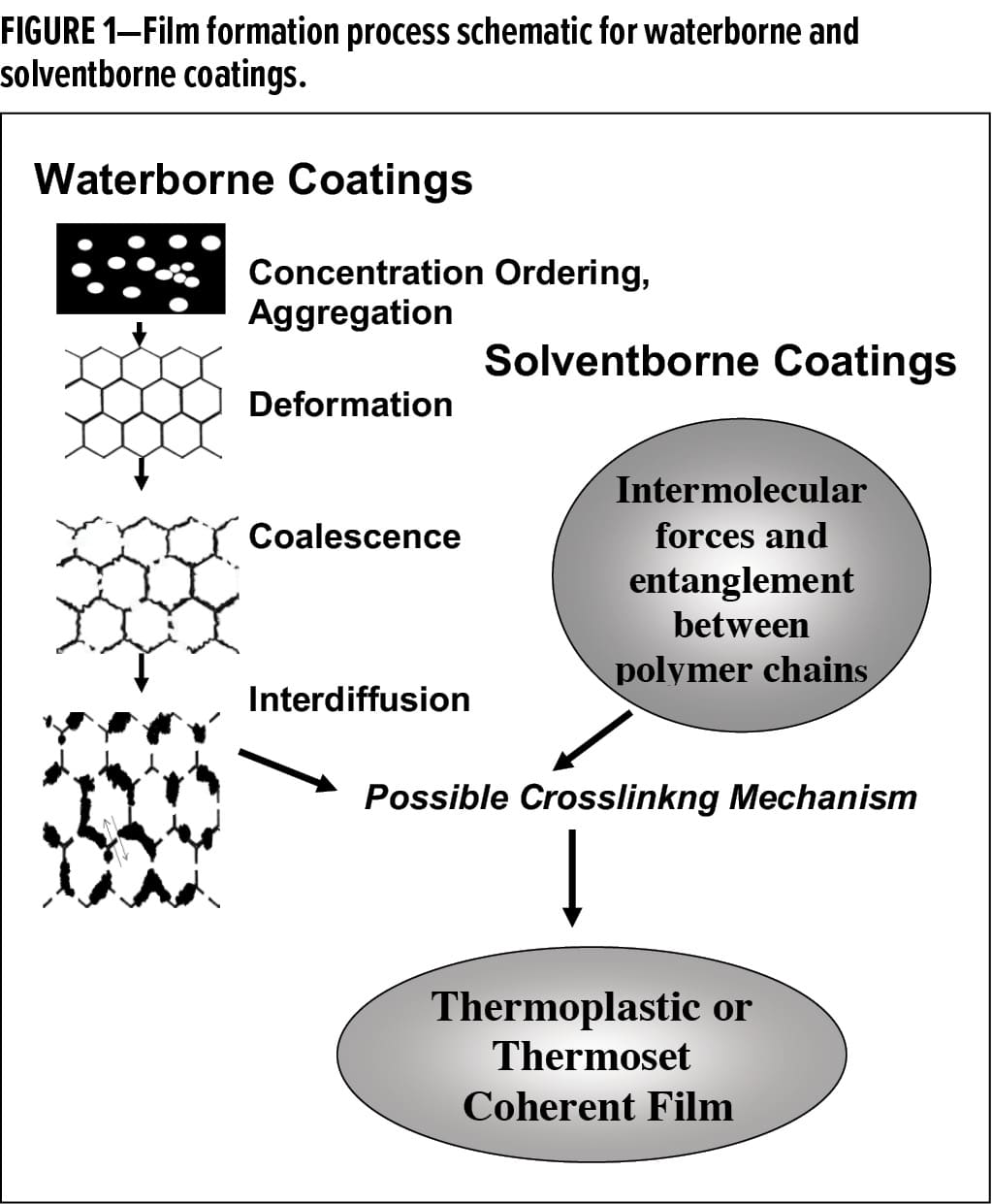 Analytical Series Feature — American Coatings Association