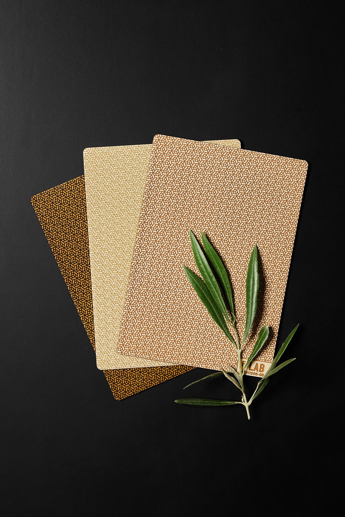 FLAB Aenigma ECO_01_rz — American Coatings Association