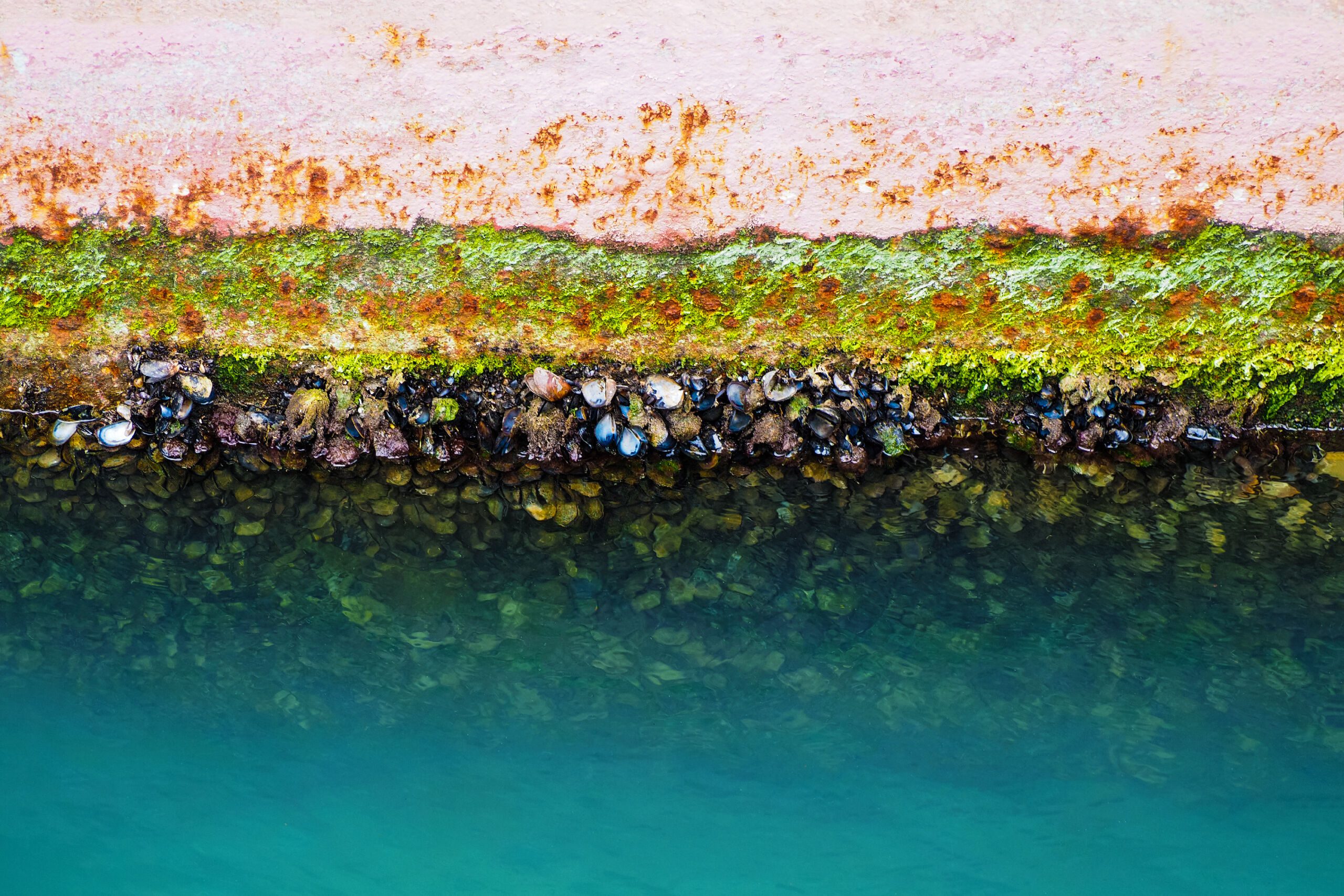 Tri-Cure Silsesquioxane Coating: Stemming the Tide of Invasive Mussel ...